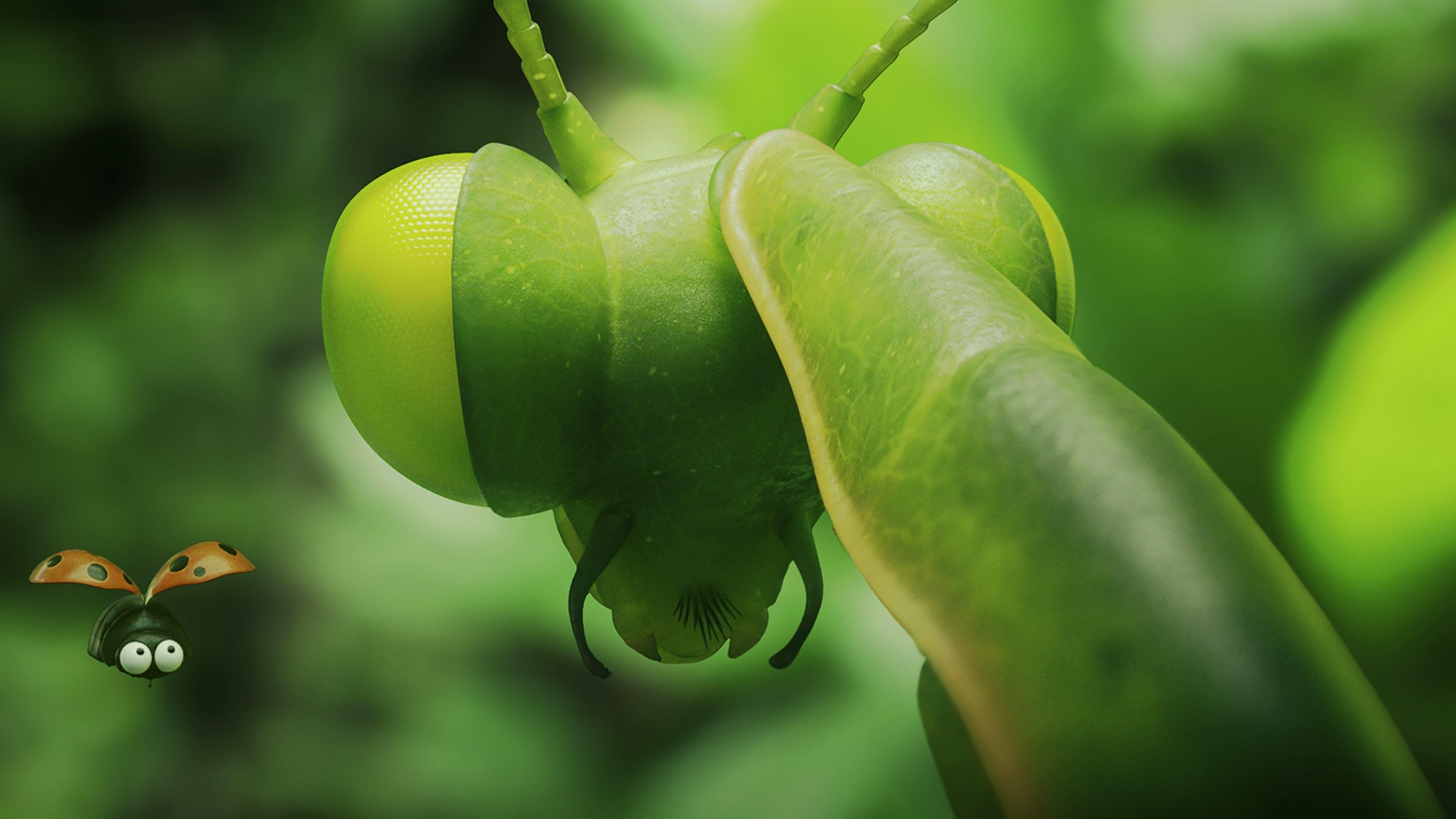 Minuscule Wallpapers - Wallpaper Cave