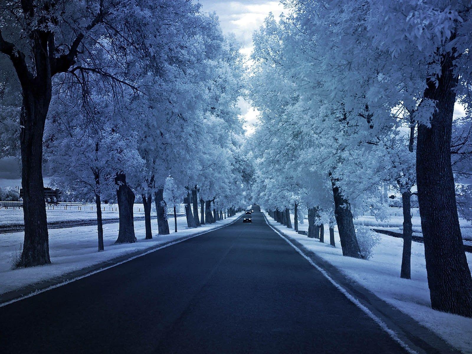 Infrared Winter Wallpapers - Wallpaper Cave