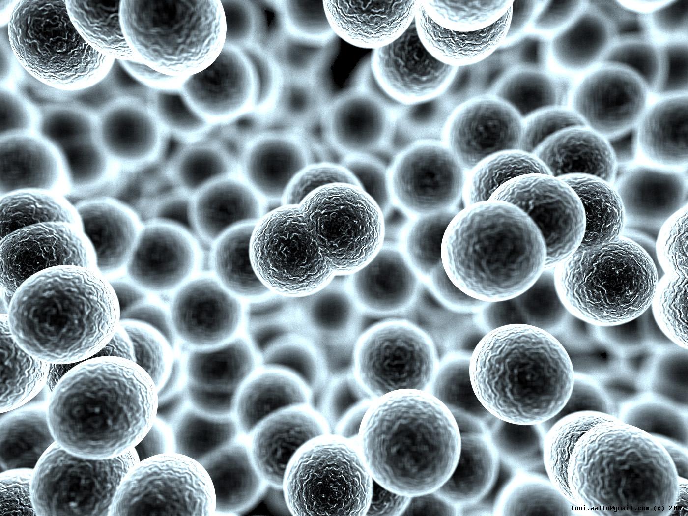Micro Organisms Computer Wallpapers - Wallpaper Cave