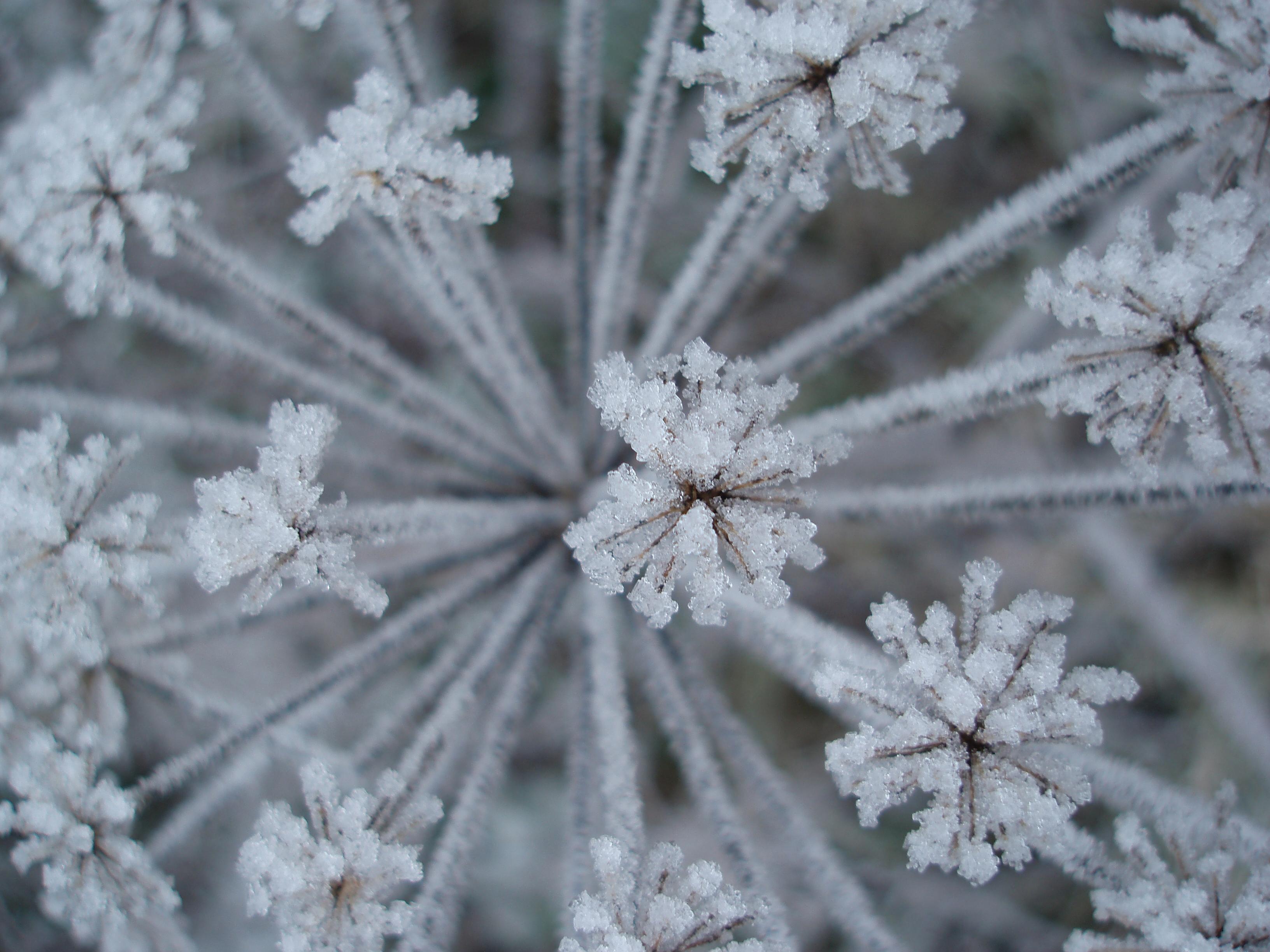 Winter Backyard Wallpapers - Wallpaper Cave