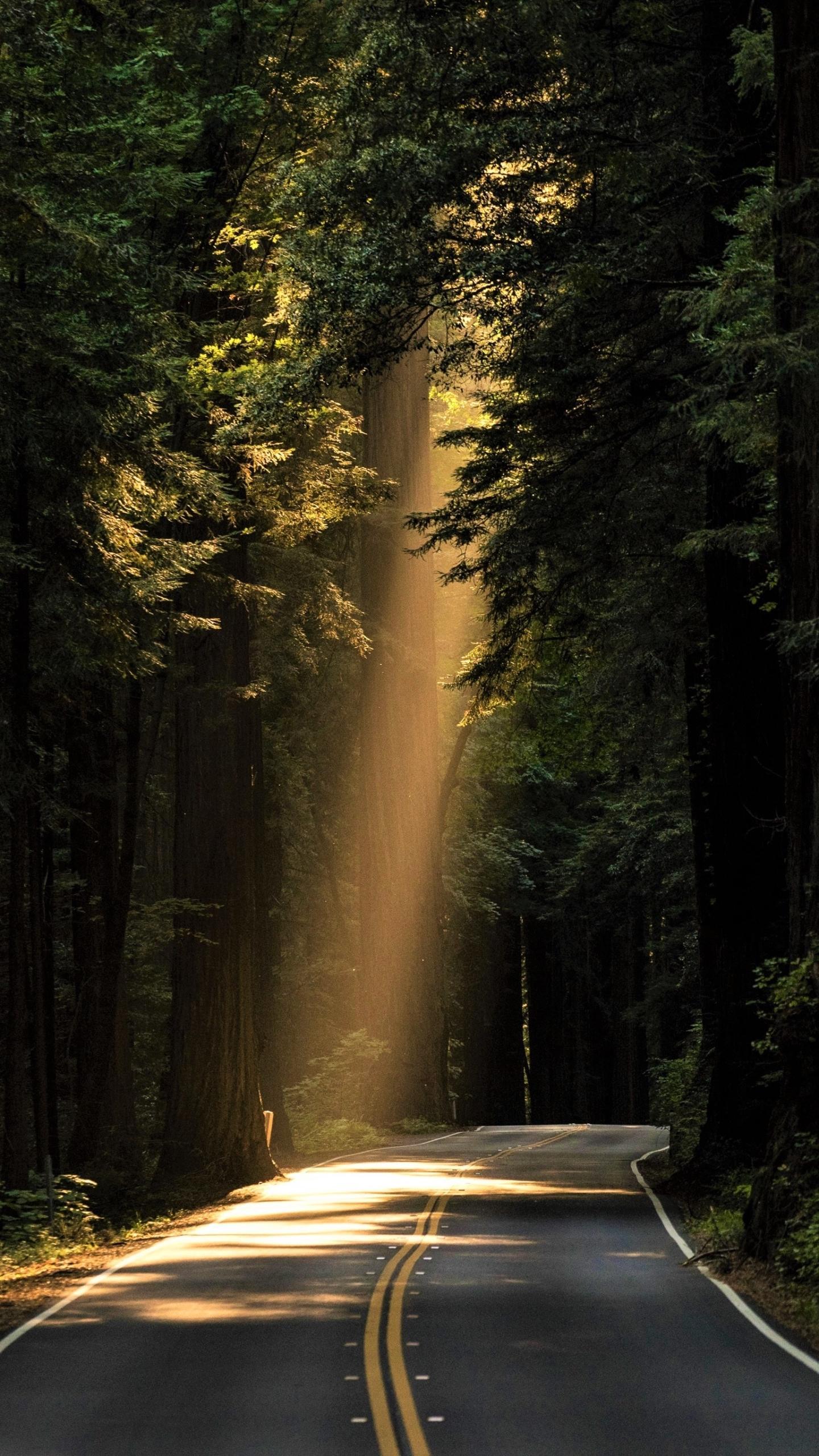 Natural Road Mobile Wallpapers - Wallpaper Cave