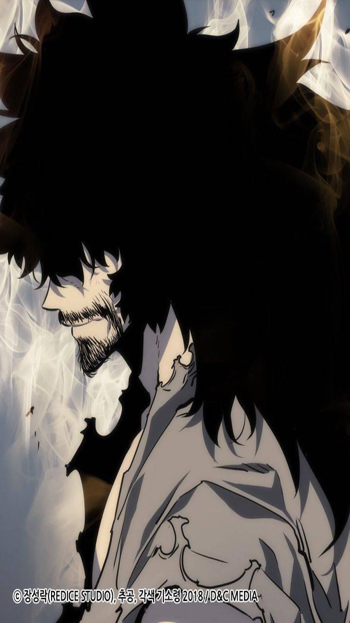 Android Solo Leveling Wallpapers - Wallpaper Cave