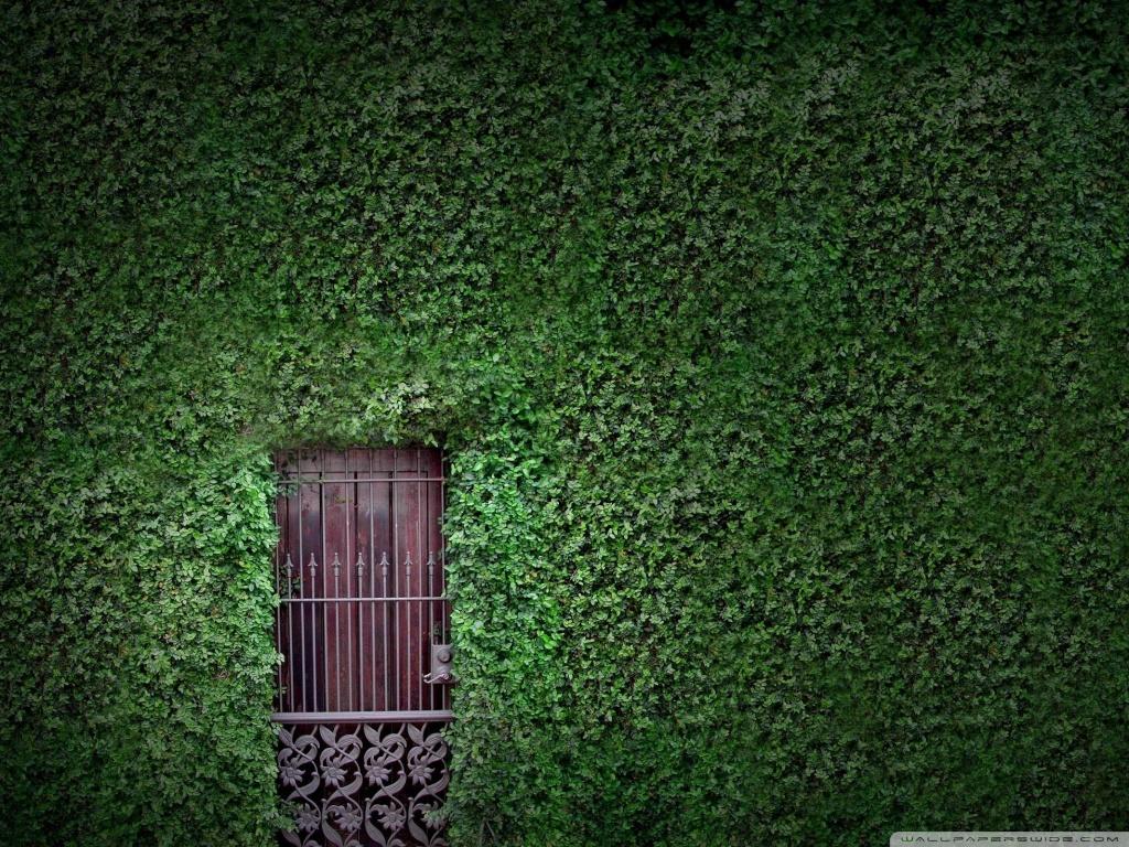 Green Building Wallpapers - Wallpaper Cave