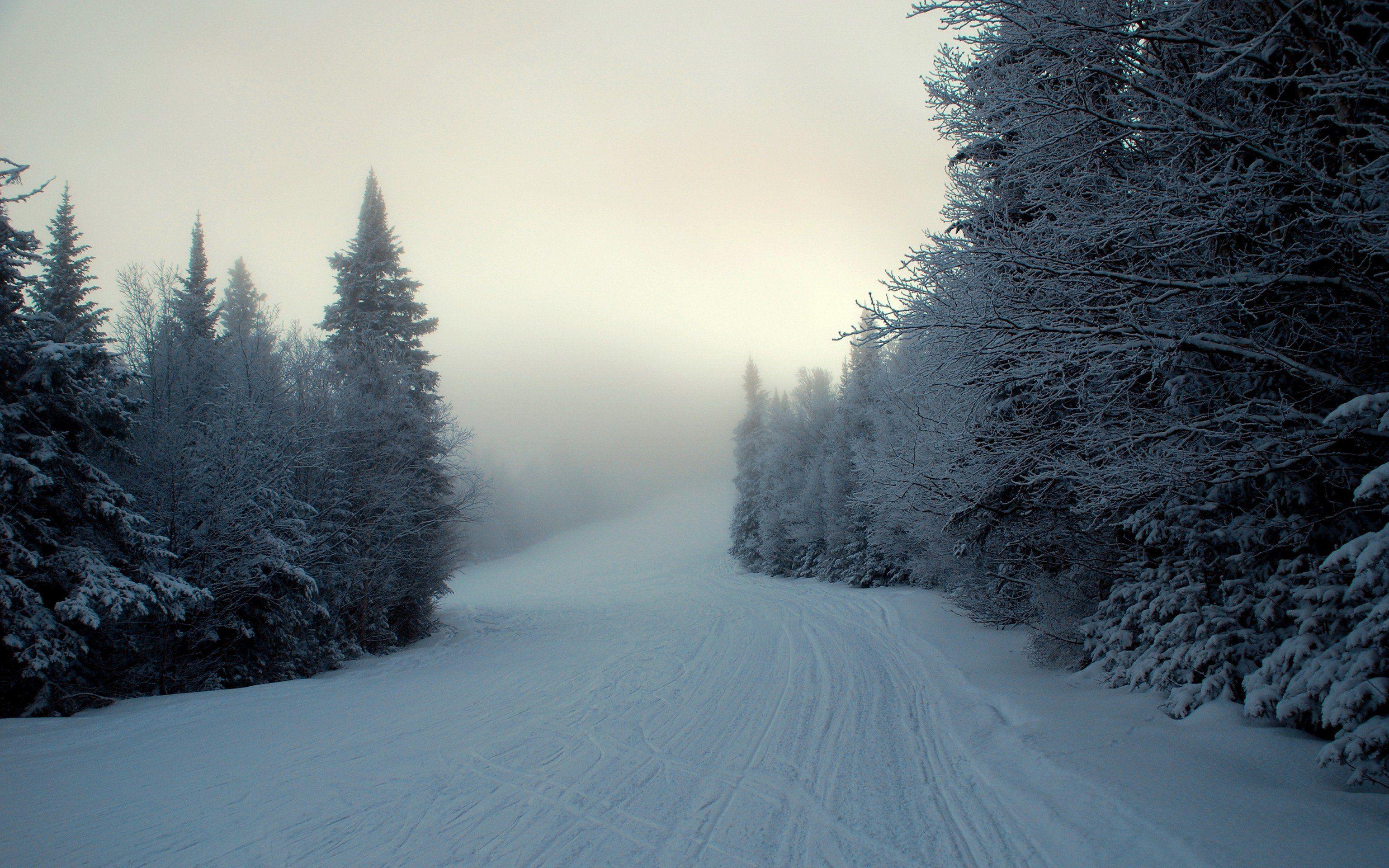 Winter Woods Wallpapers Wallpaper Cave