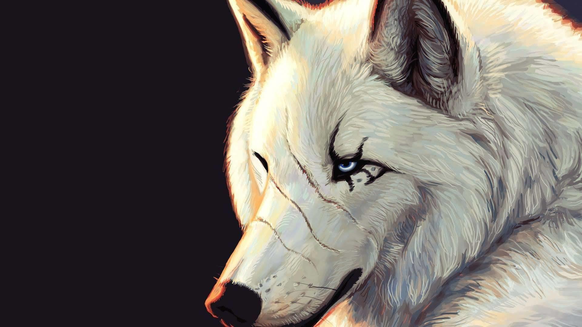 Wolf Drip Wallpapers - Wallpaper Cave