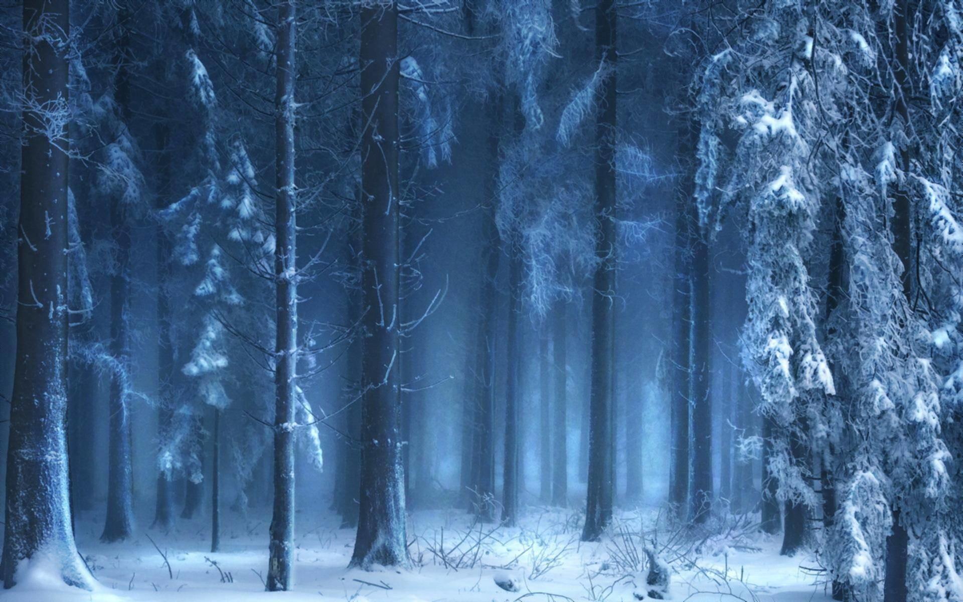 Fantasy Winter Wallpapers - Wallpaper Cave