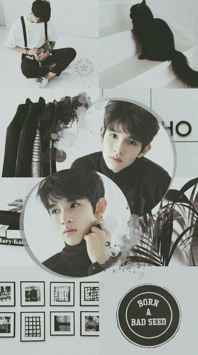 Revenge Note Wallpapers - Wallpaper Cave