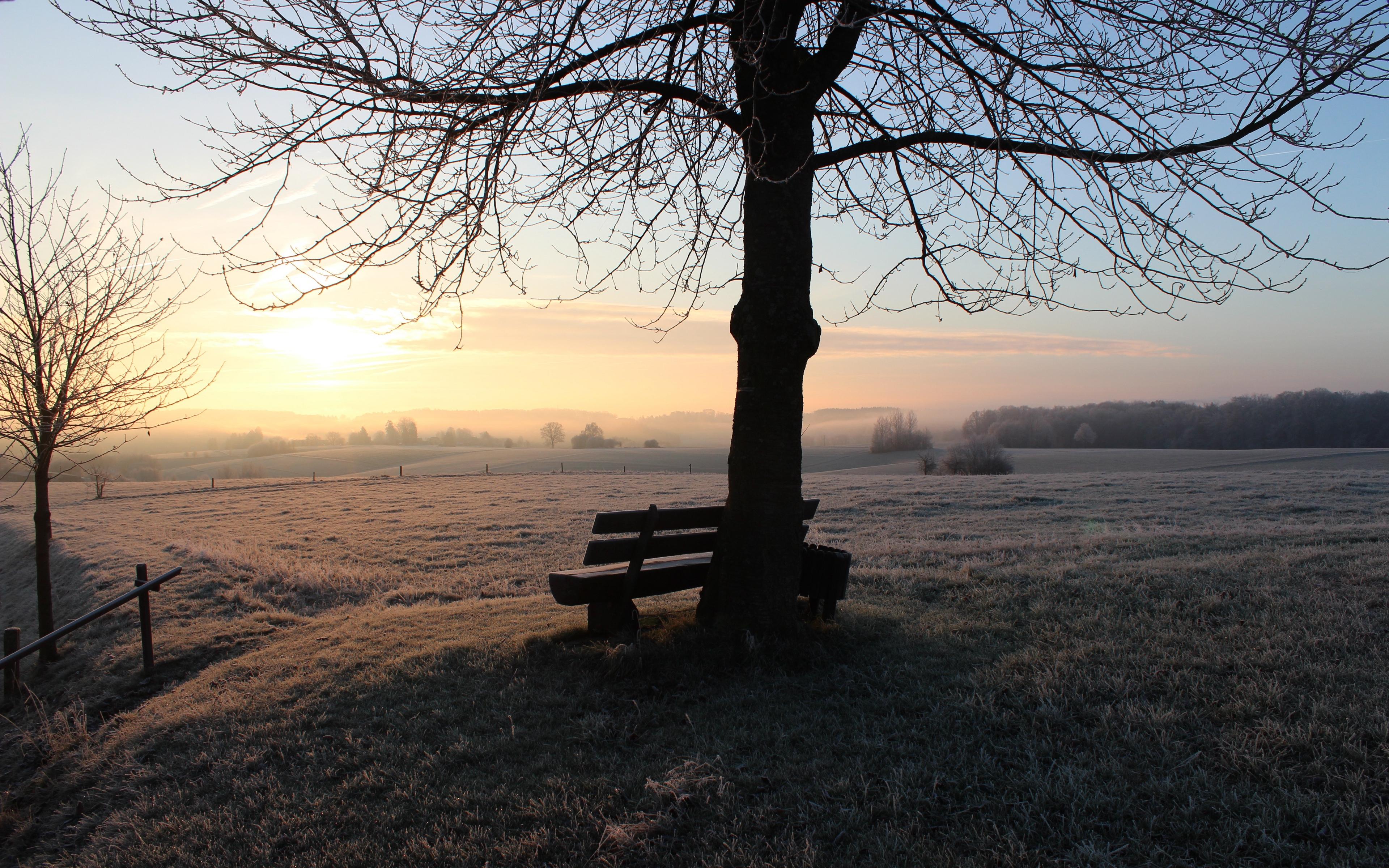 Winter Solitude Wallpapers - Wallpaper Cave