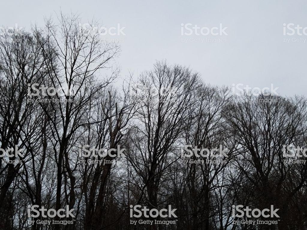 Winter Afternoon Wallpapers - Wallpaper Cave