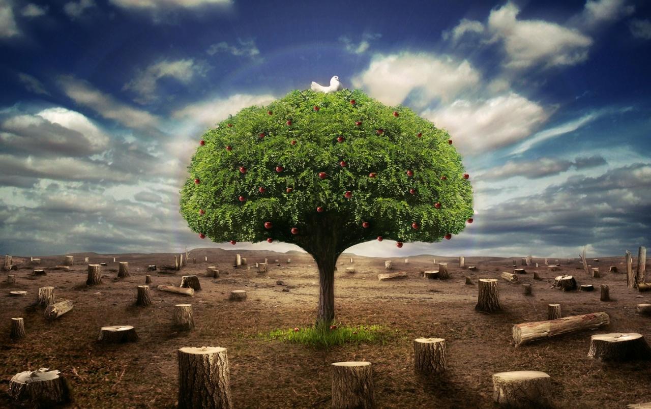 Survivor Wallpapers - Wallpaper Cave