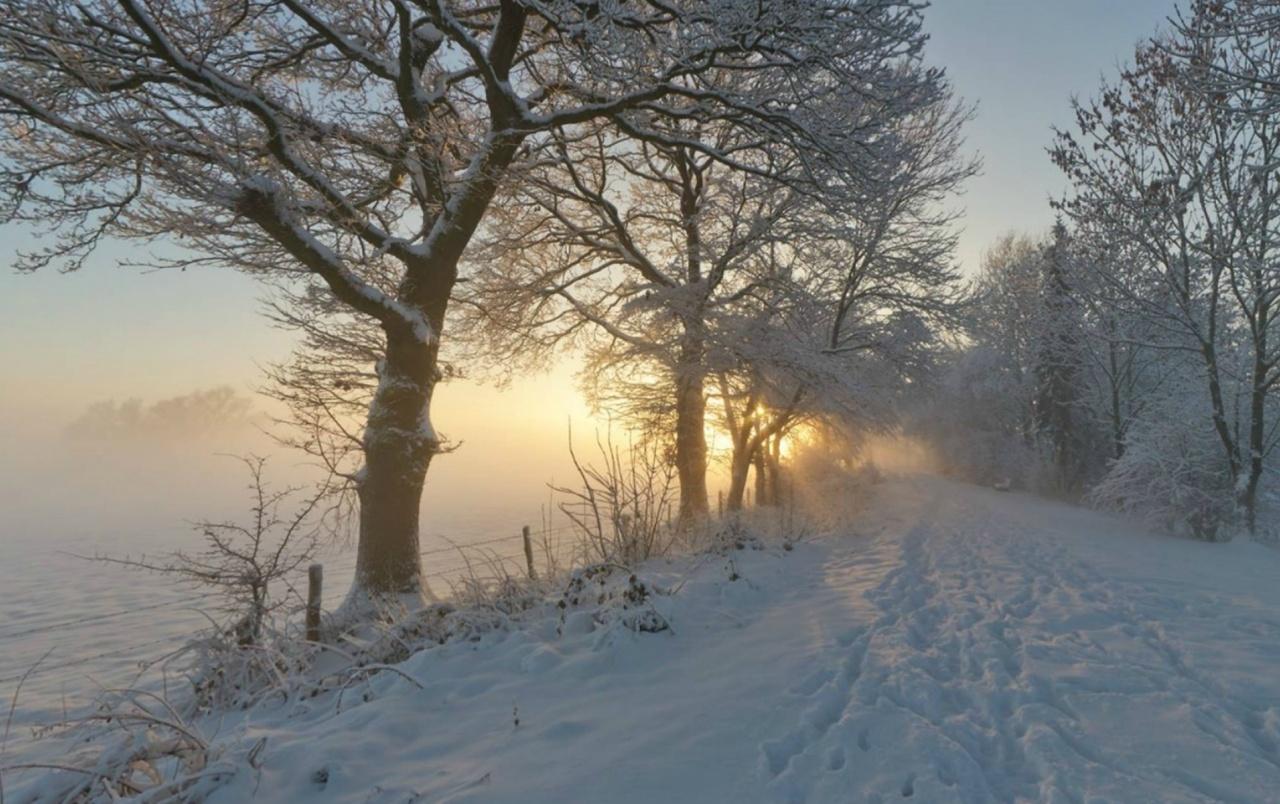 Winter Path Wallpapers - Wallpaper Cave