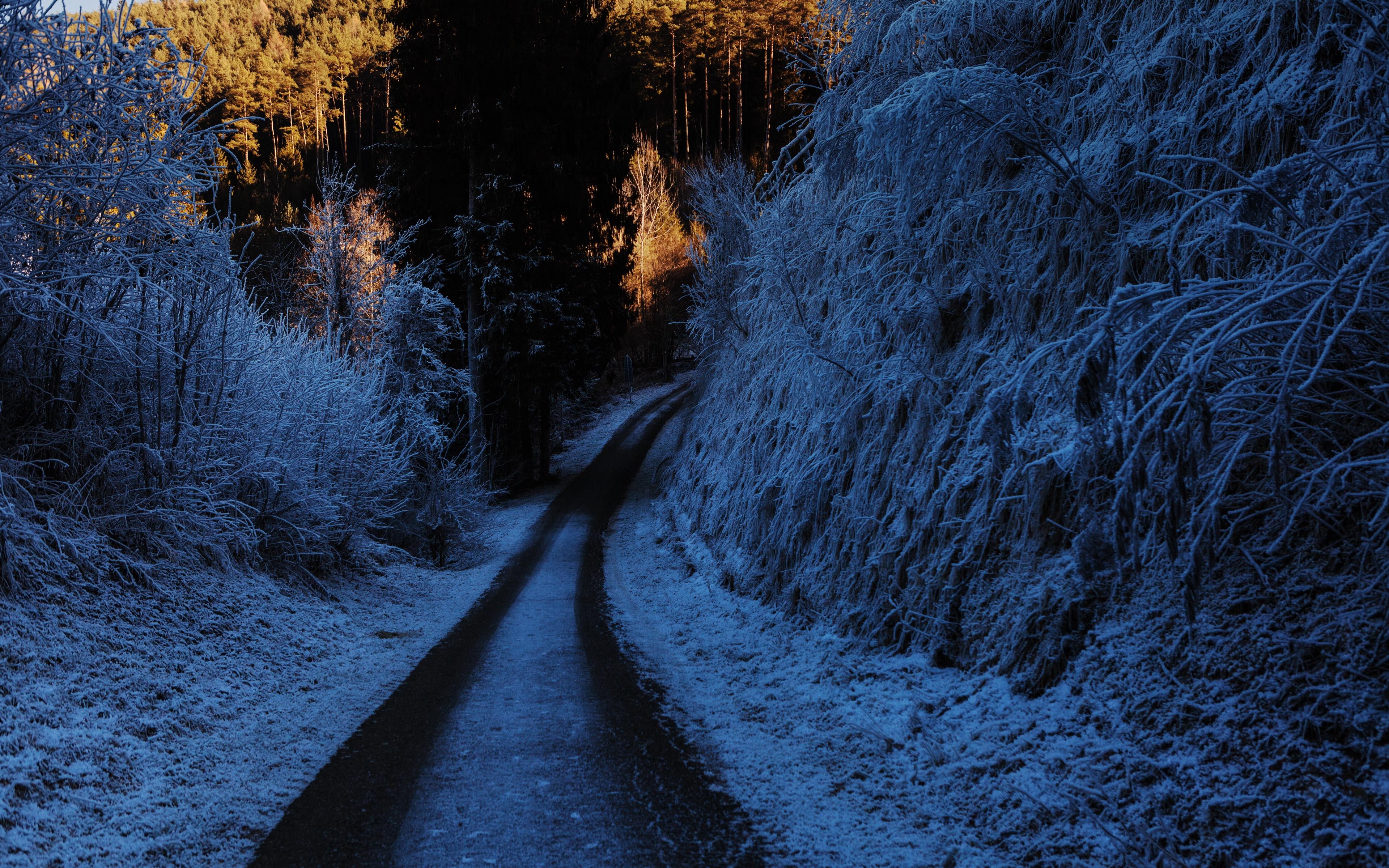 Winter Path Wallpapers - Wallpaper Cave