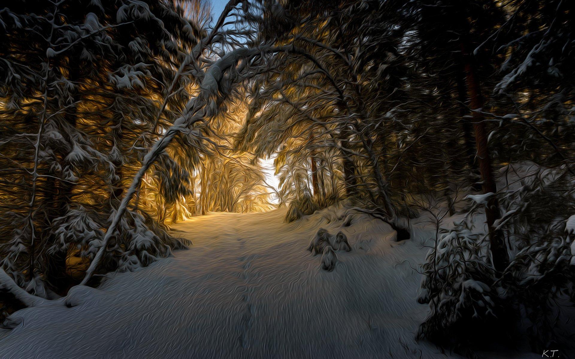 Winter Path Wallpapers - Wallpaper Cave