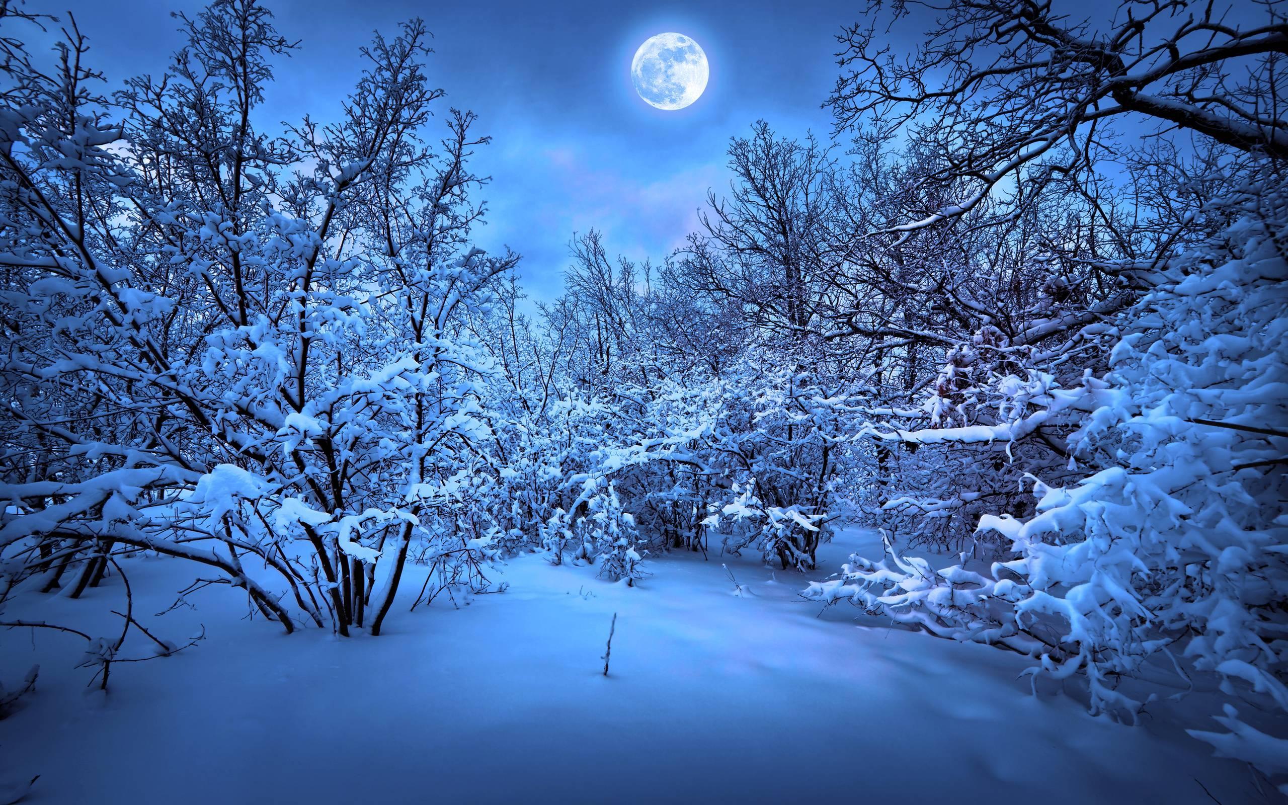 Christmas Snowfall Wallpapers - Wallpaper Cave