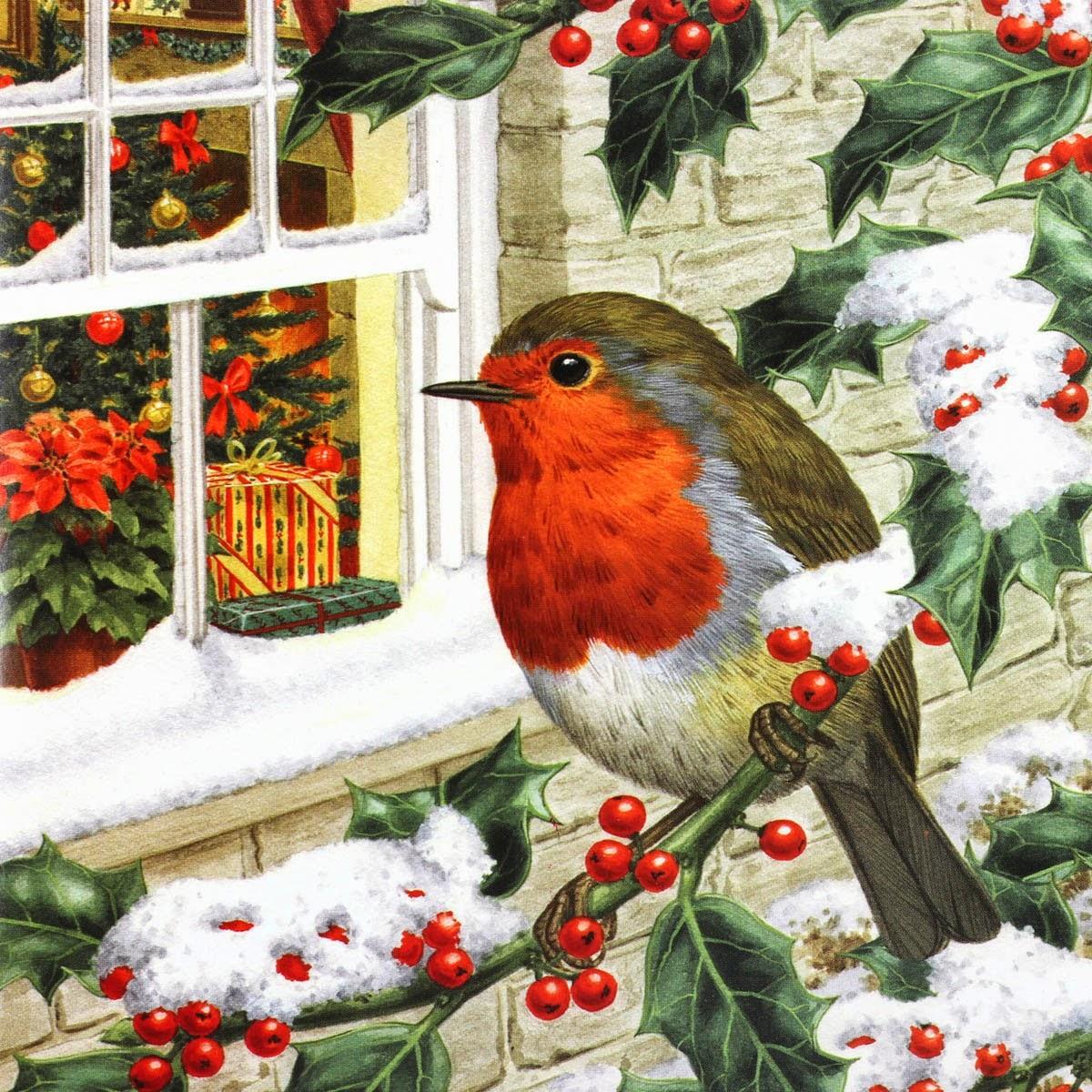 Festive Birds Wallpapers - Wallpaper Cave