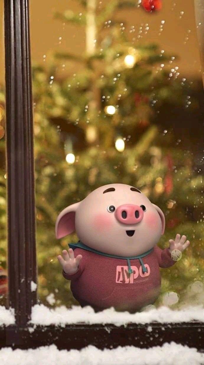 Mini Pig Christmas Wallpapers - Wallpaper Cave