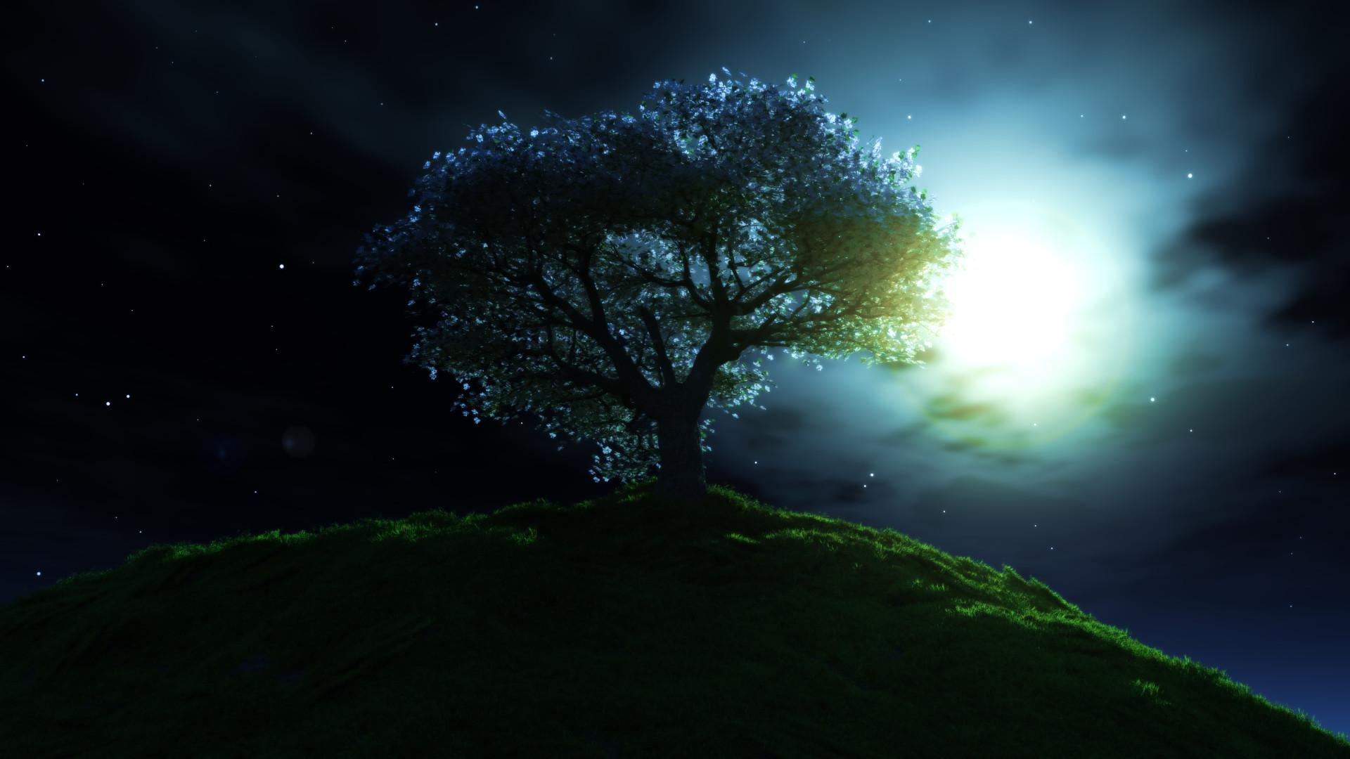 Lonely Tree With Lights Wallpapers - Wallpaper Cave