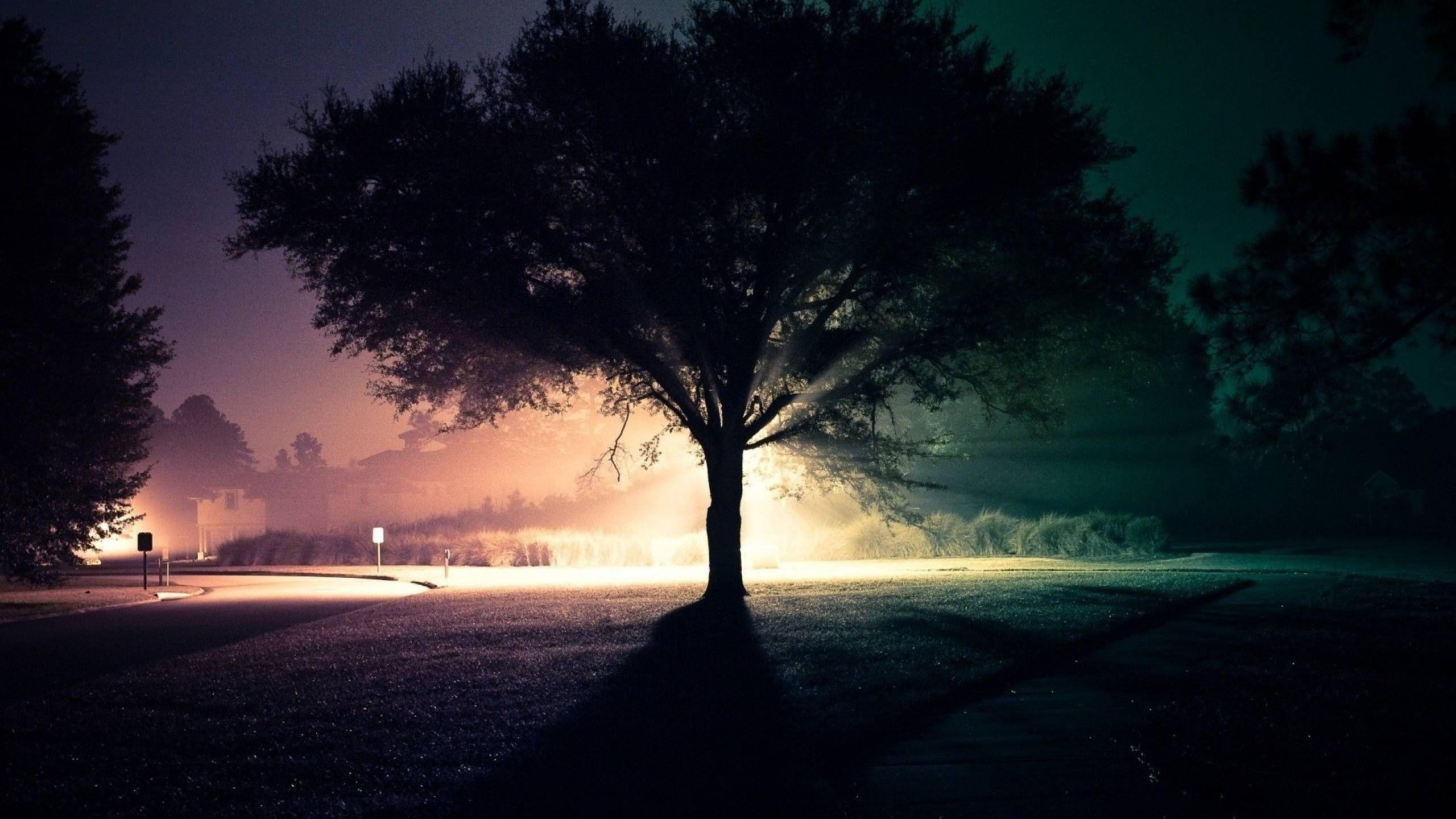 Lonely Tree With Lights Wallpapers - Wallpaper Cave