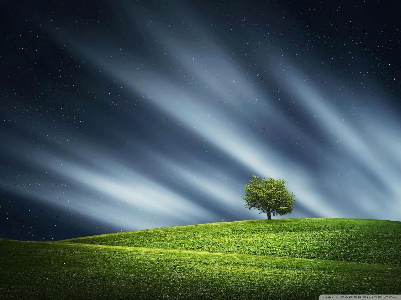 Lonely Tree With Lights Wallpapers - Wallpaper Cave