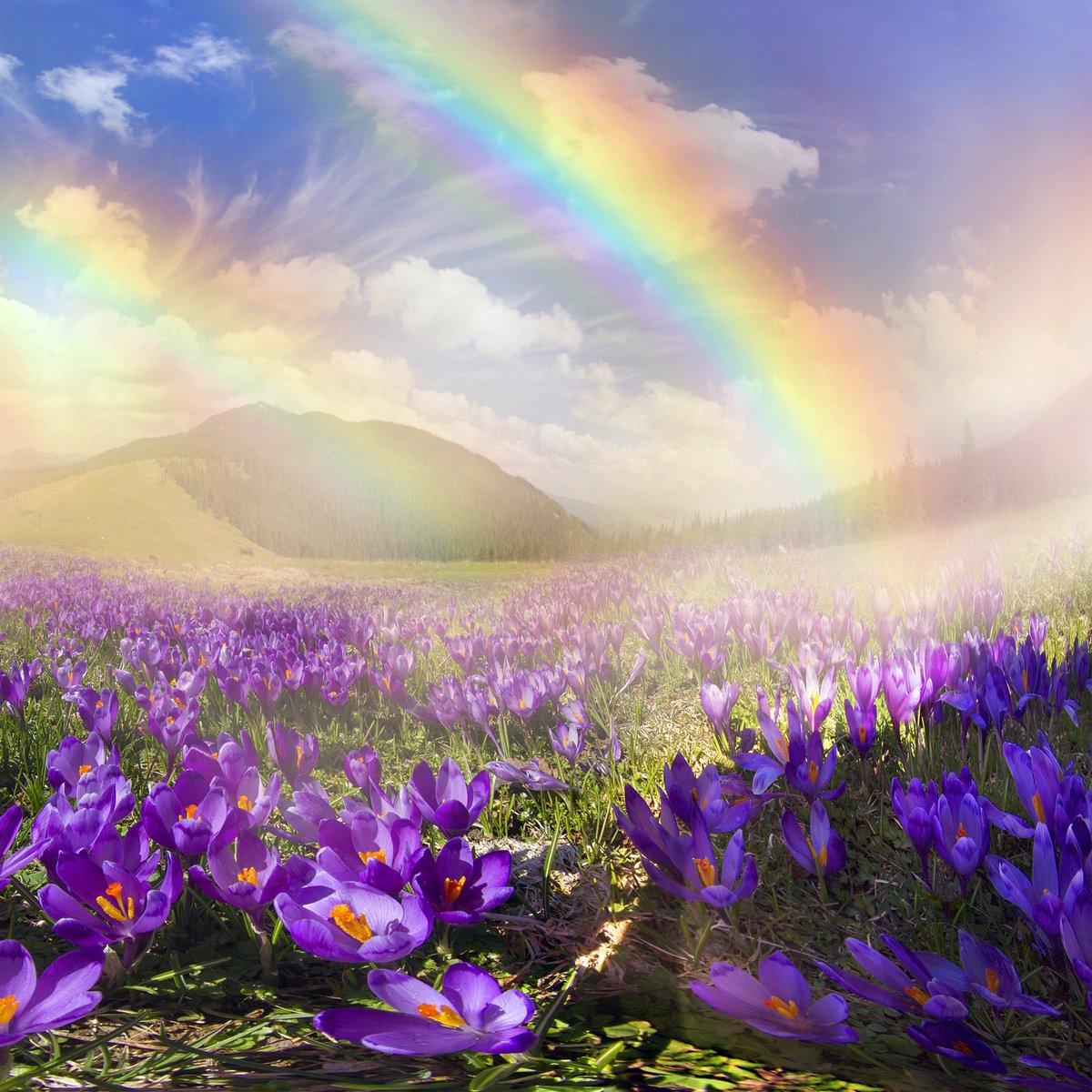 Seeing Double Wallpapers - Wallpaper Cave