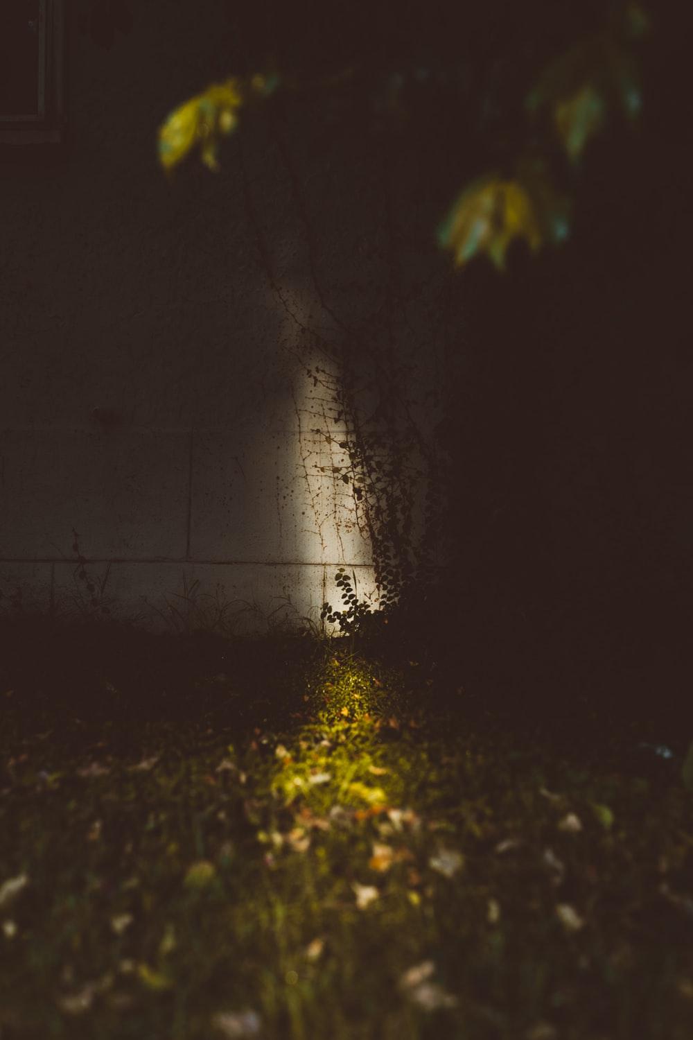 Firefly Fun House Wallpapers - Wallpaper Cave