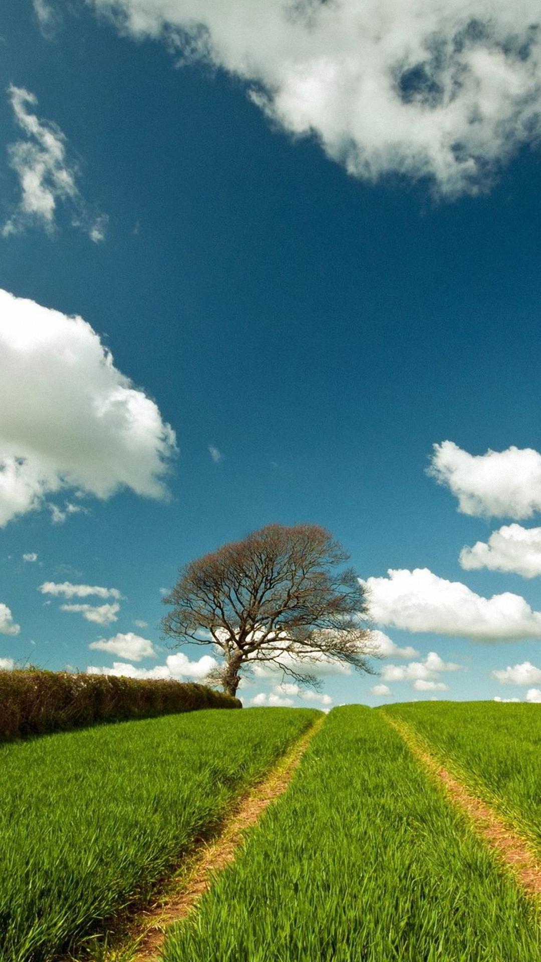 Mobile Hd 1080×1920 Wallpapers - Wallpaper Cave