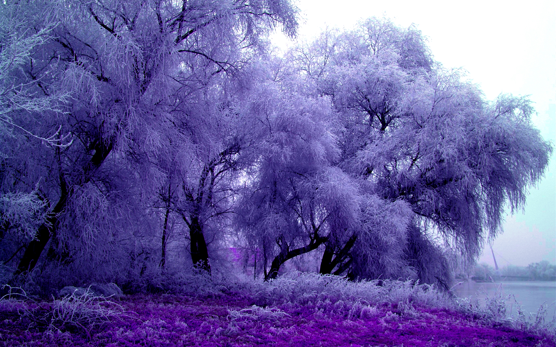 Winter Splendor Wallpapers - Wallpaper Cave