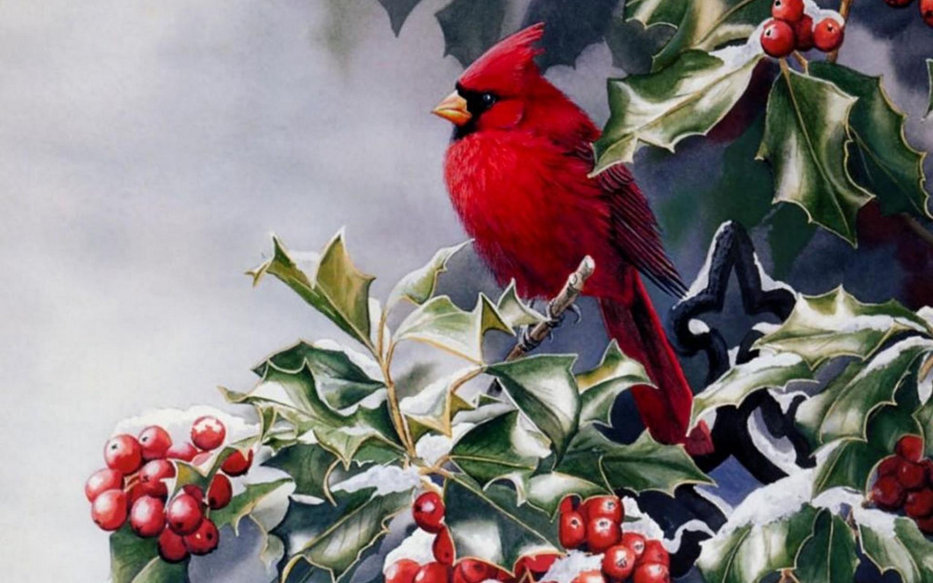 Country Cardinals Wallpapers - Wallpaper Cave