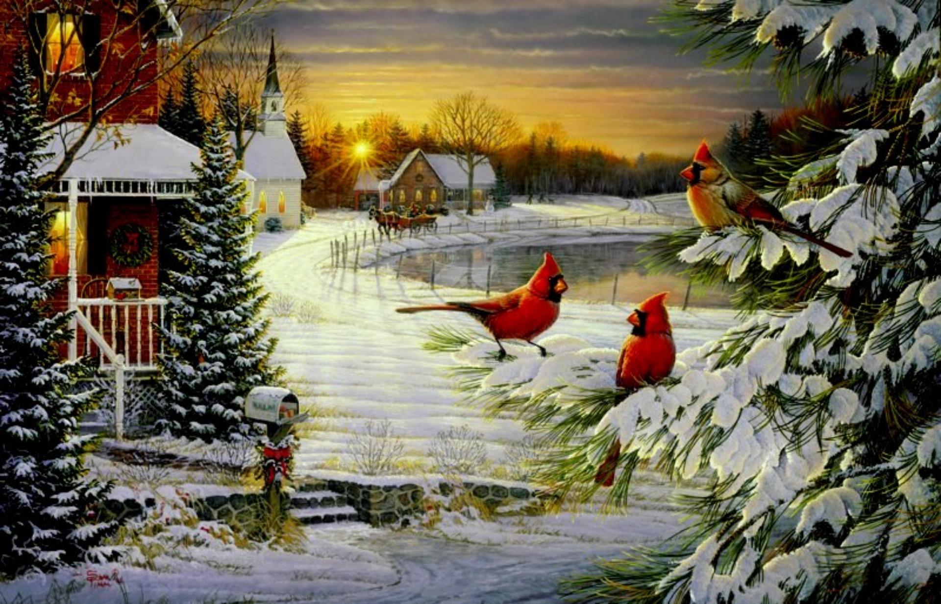Country Cardinals Wallpapers - Wallpaper Cave