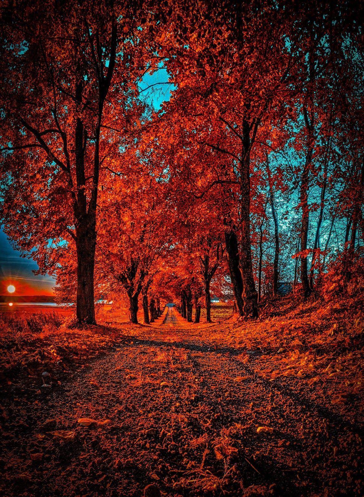 CB HD Wallpapers Wallpaper Cave