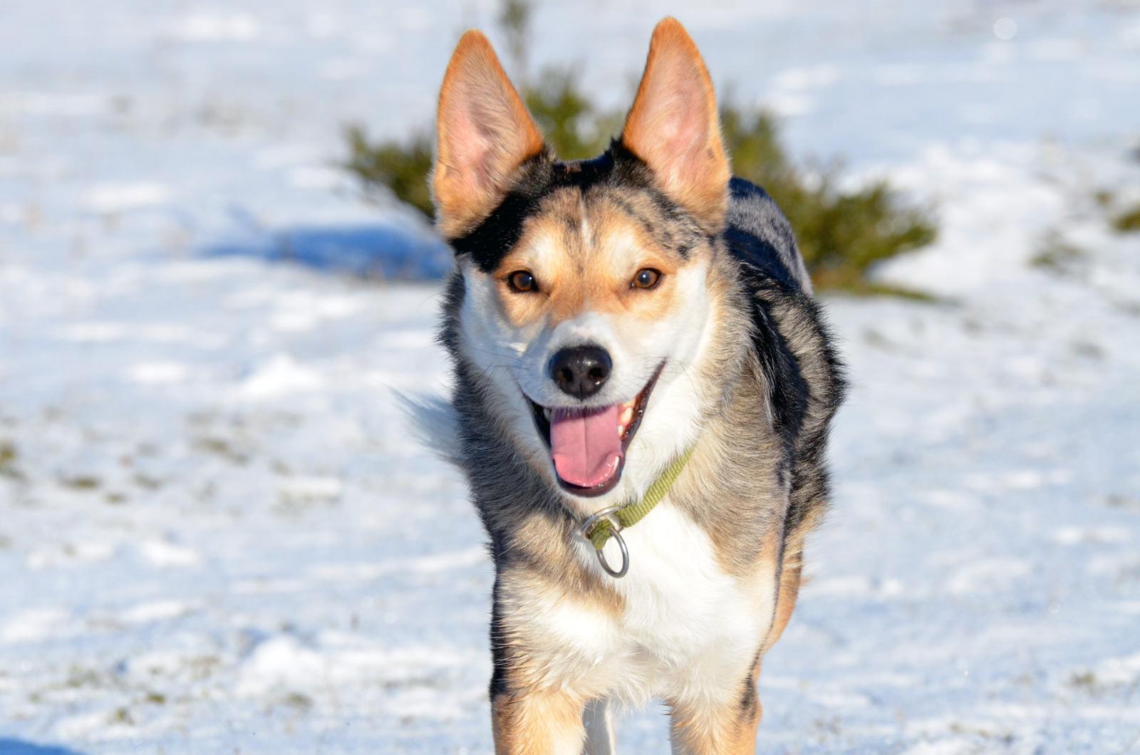 Ausky Wallpapers - Wallpaper Cave