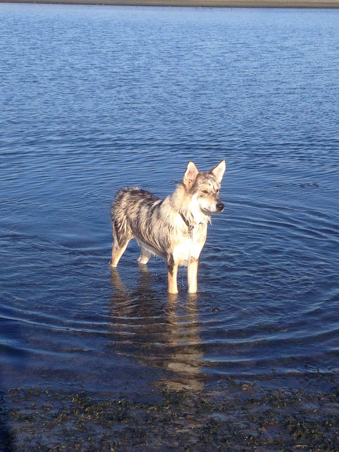 Ausky Wallpapers - Wallpaper Cave