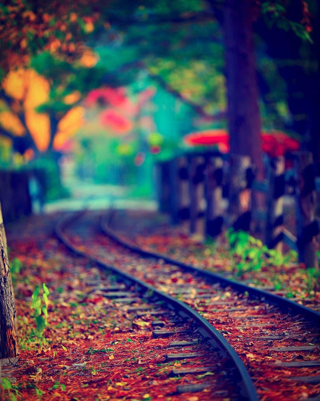 Backgrounds HD Image - Wallpaper Cave