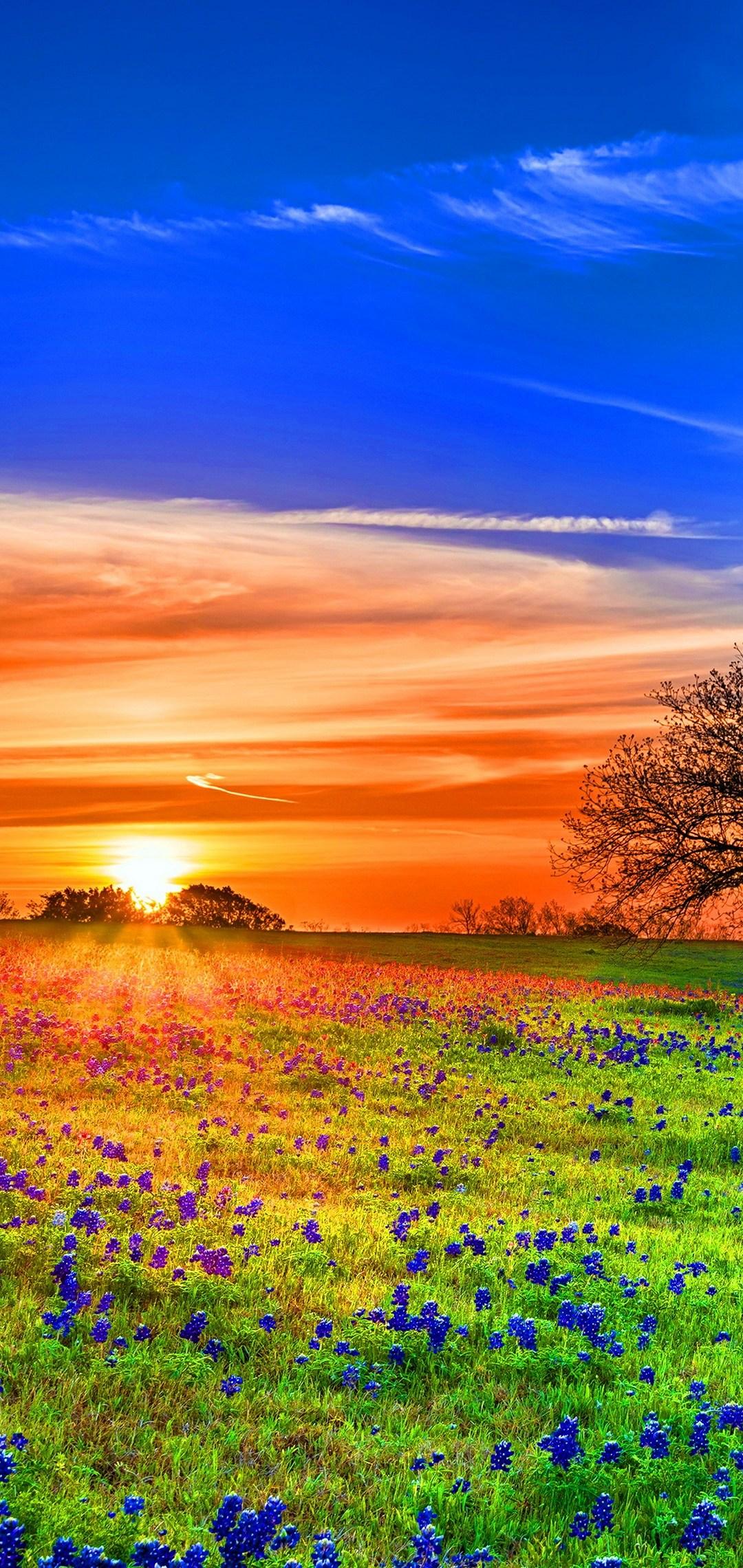 Backgrounds HD Image - Wallpaper Cave