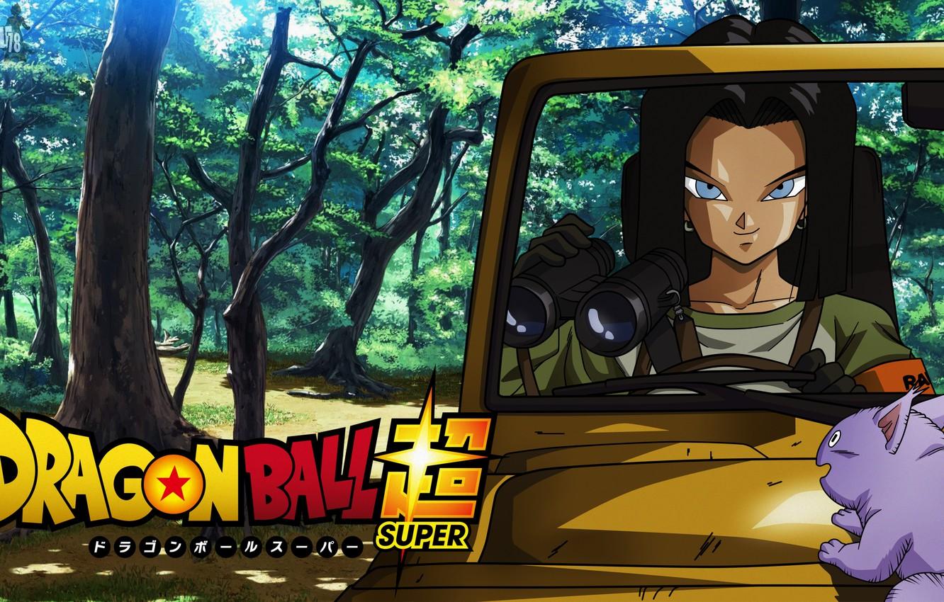 Android 17 DBZ Wallpapers - Wallpaper Cave