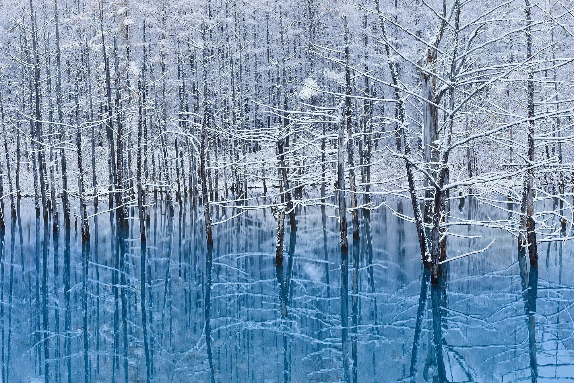 Winter Reflections Wallpapers - Wallpaper Cave