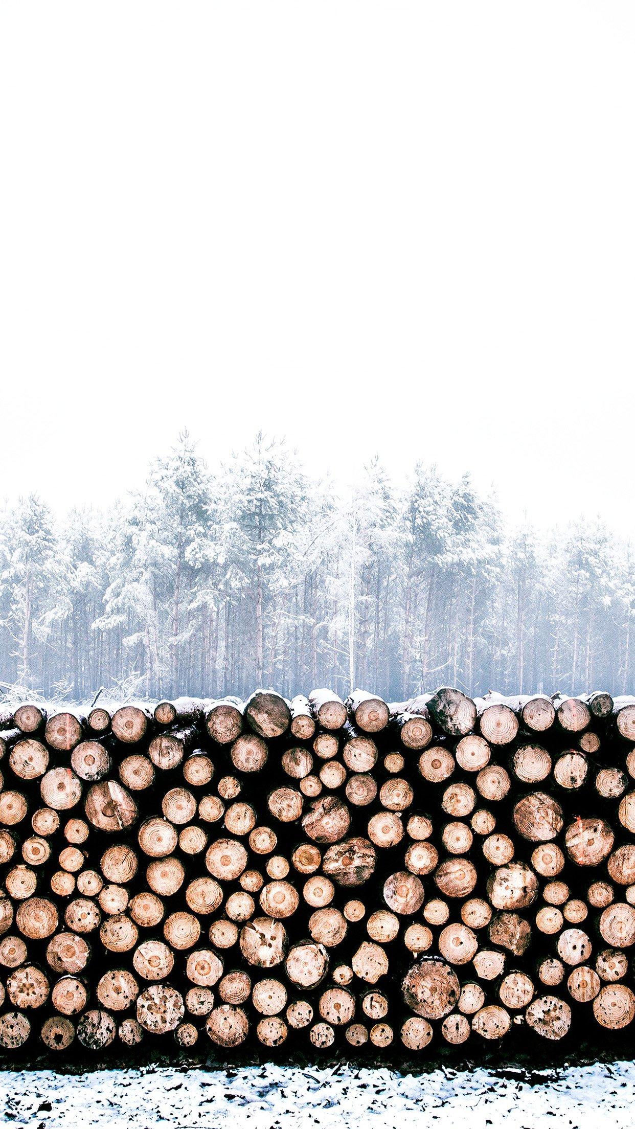 Snowy Woods Wallpapers - Wallpaper Cave