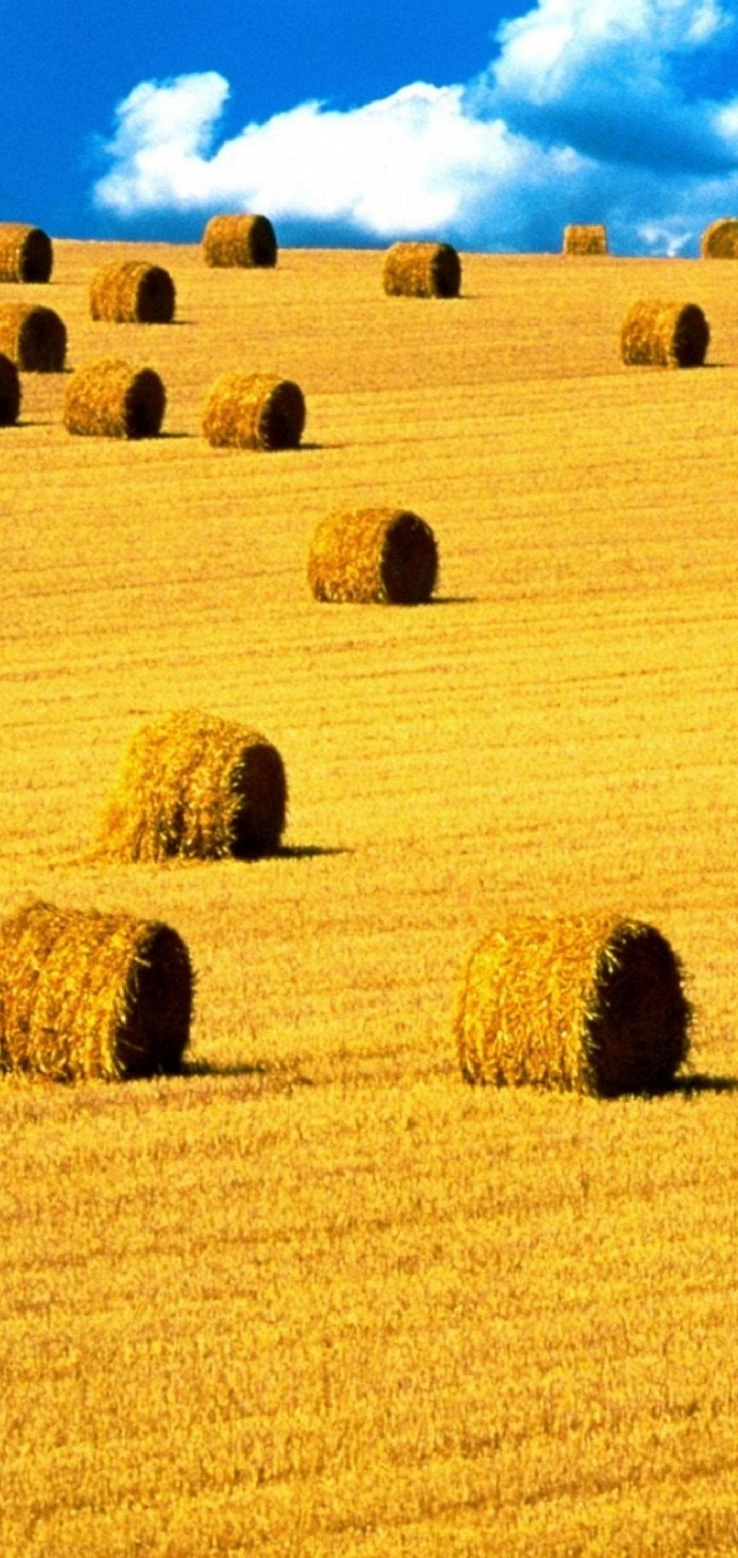 Farm Phone Wallpapers - Wallpaper Cave