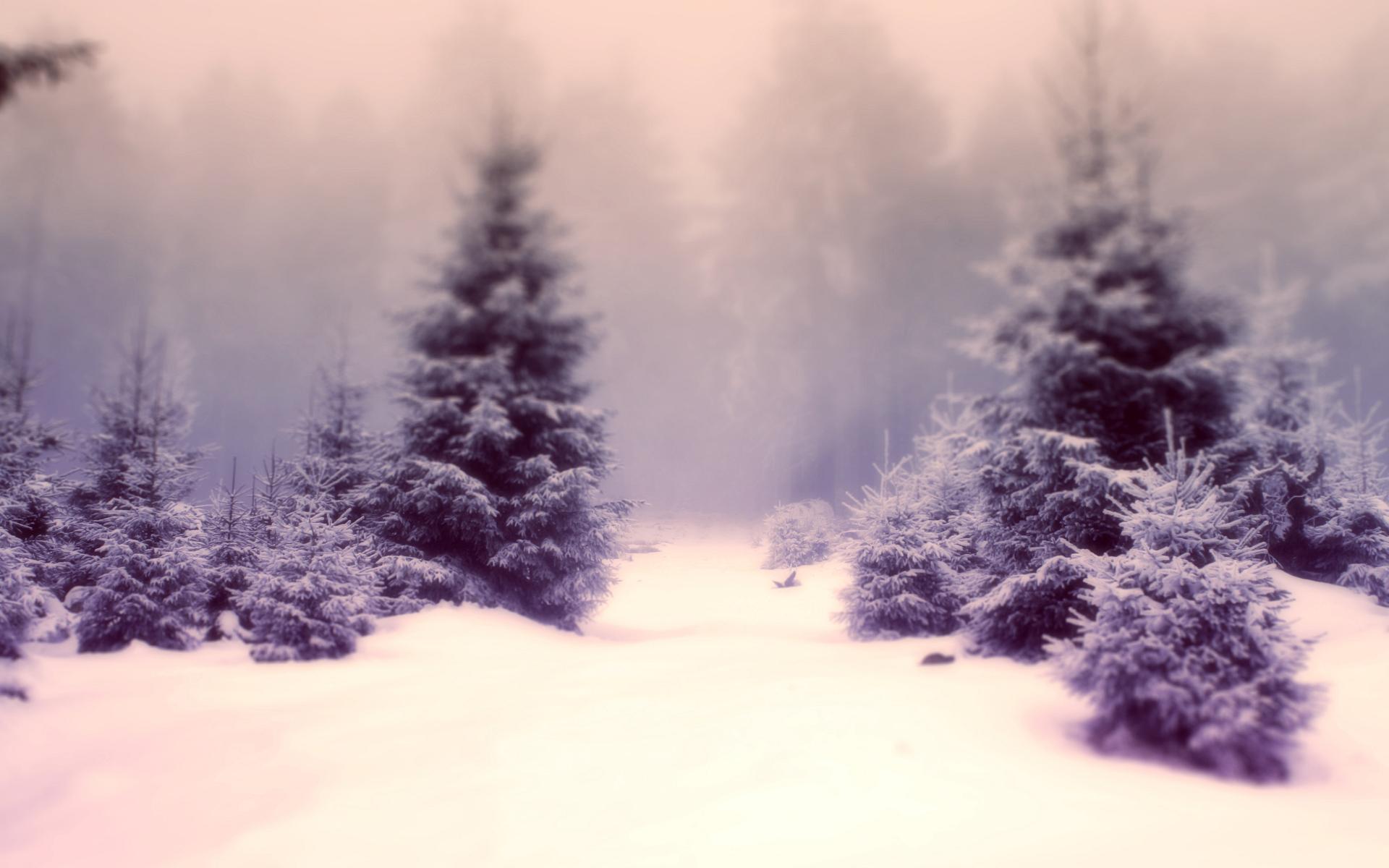 Winter Dream Wallpapers - Wallpaper Cave