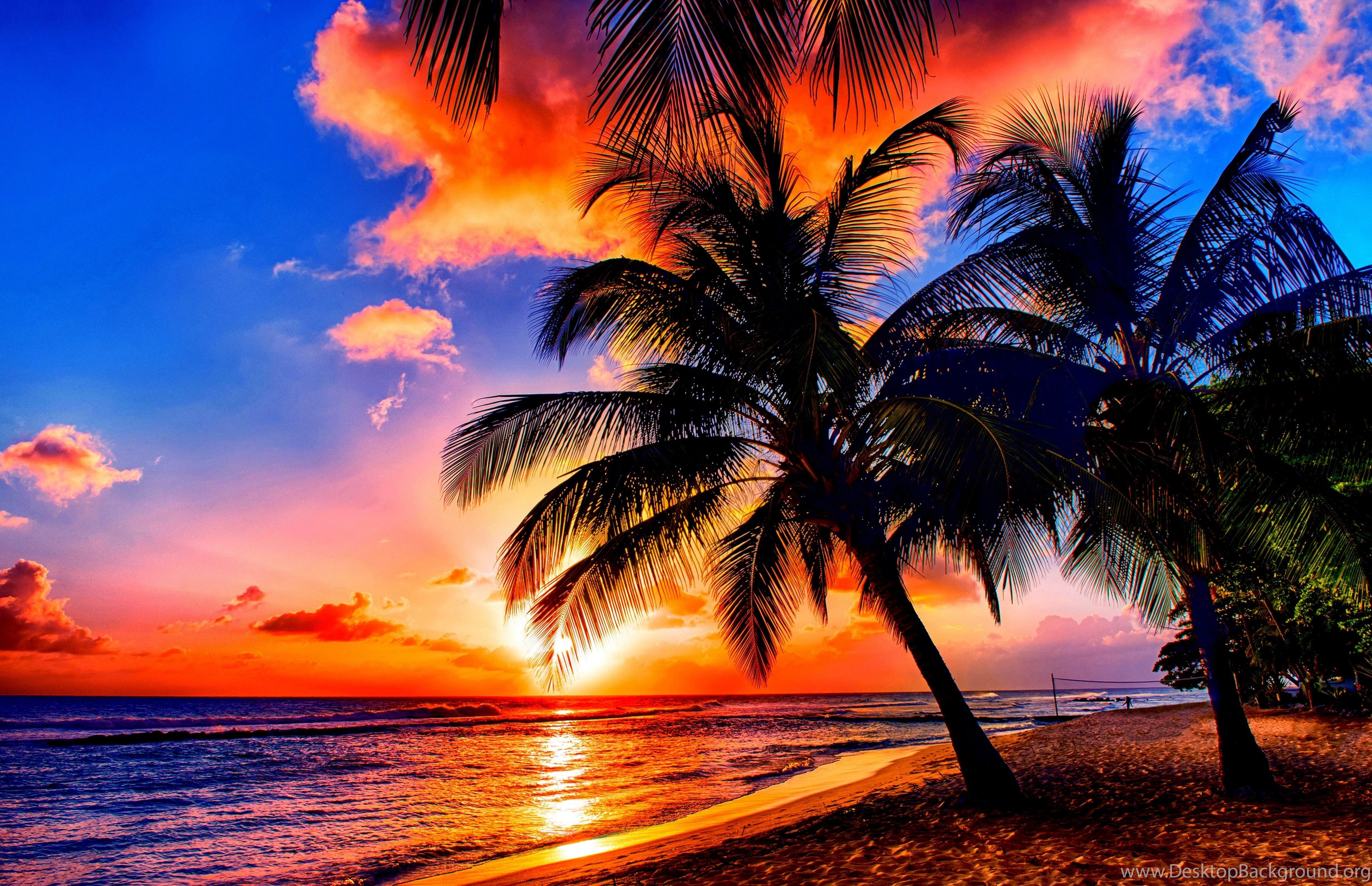 Tropical Computer Wallpapers Wallpaper Cave Tropical Computer Wallpapers Wallpaper Cave