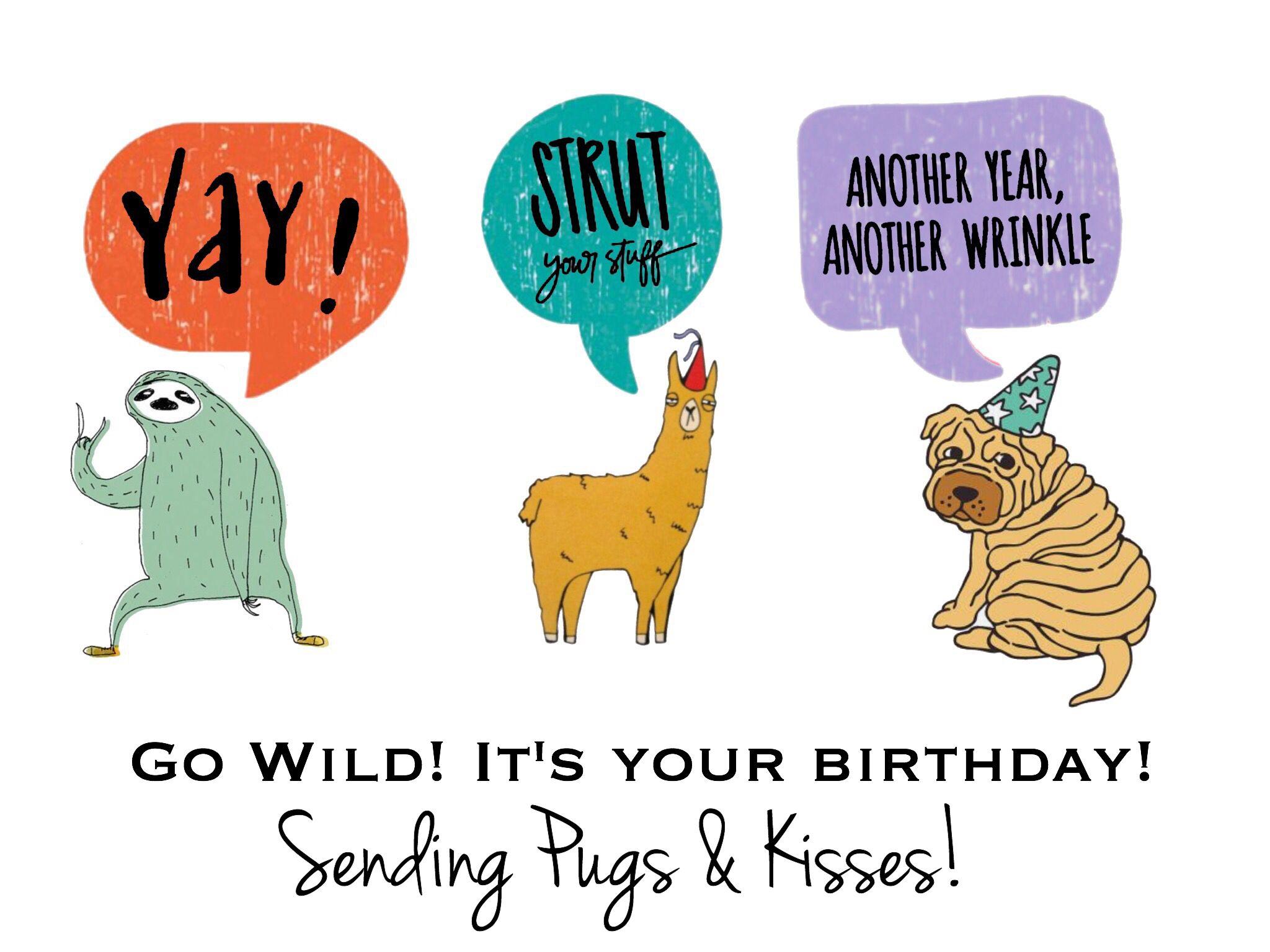 Llama Sloth Pug Wallpapers - Wallpaper Cave