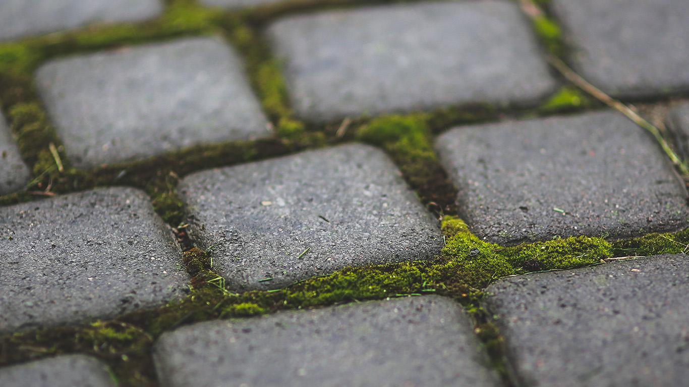 Moss Gardent Desktop Wallpapers - Wallpaper Cave