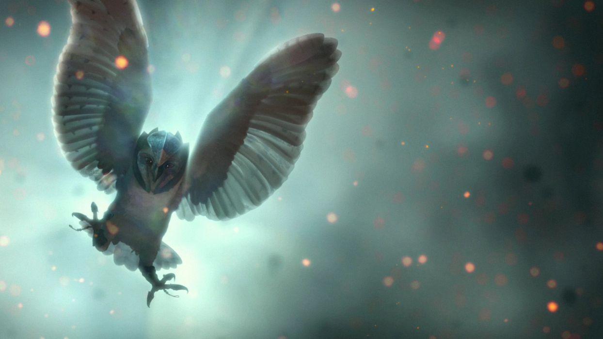 Fantasy Birds Wallpapers - Wallpaper Cave