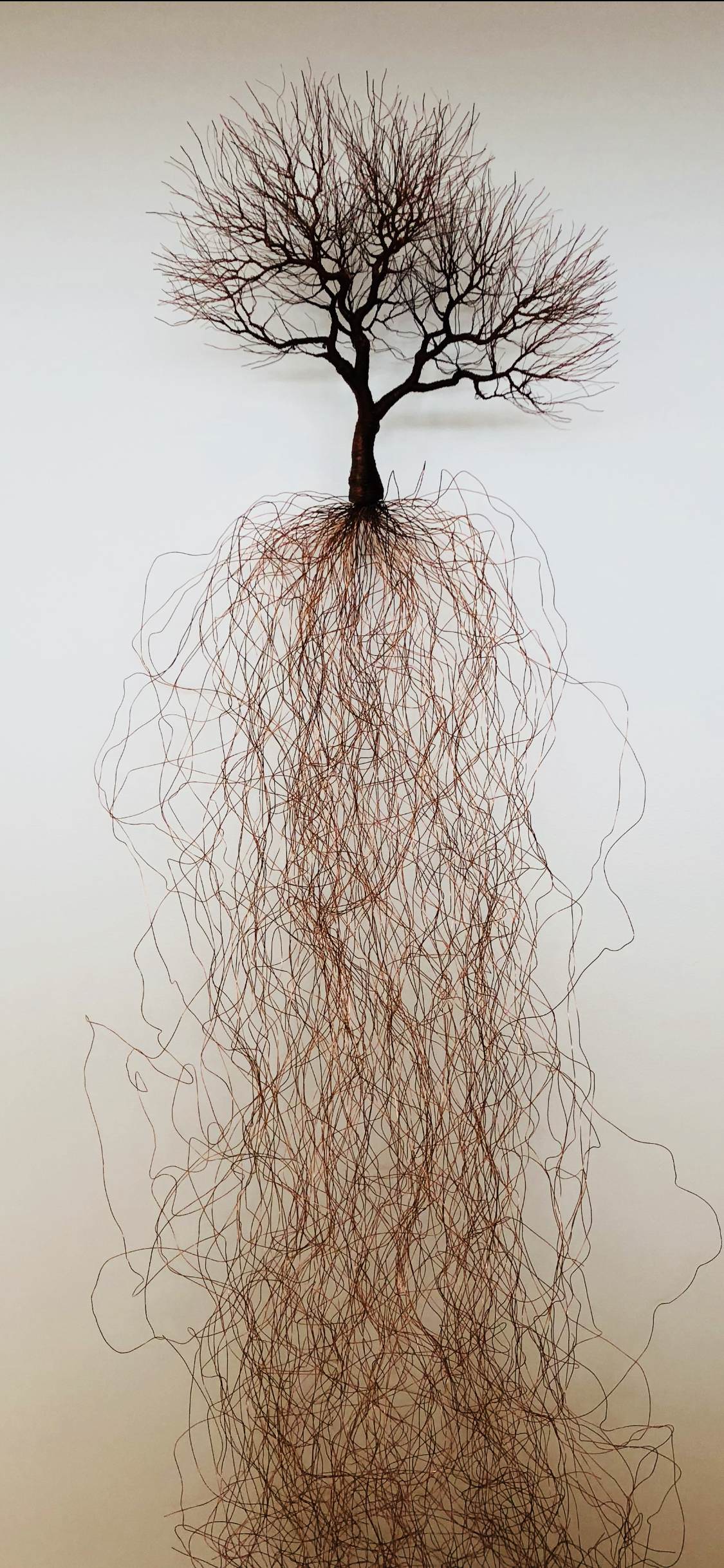 Root Mobile Wallpapers - Wallpaper Cave