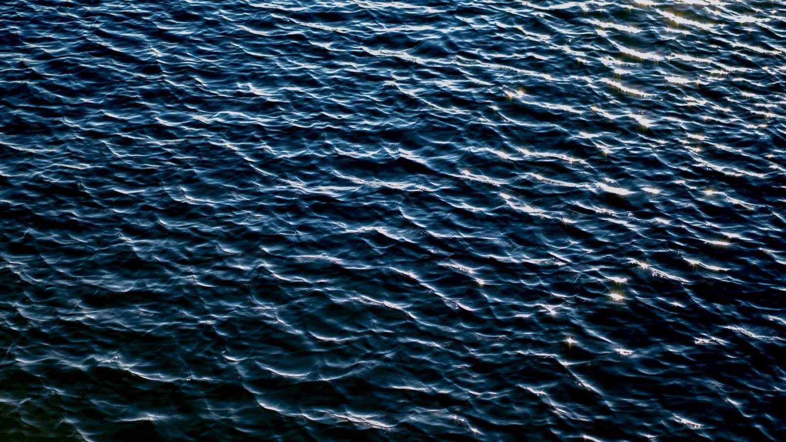 Something Different Wallpapers - Wallpaper Cave