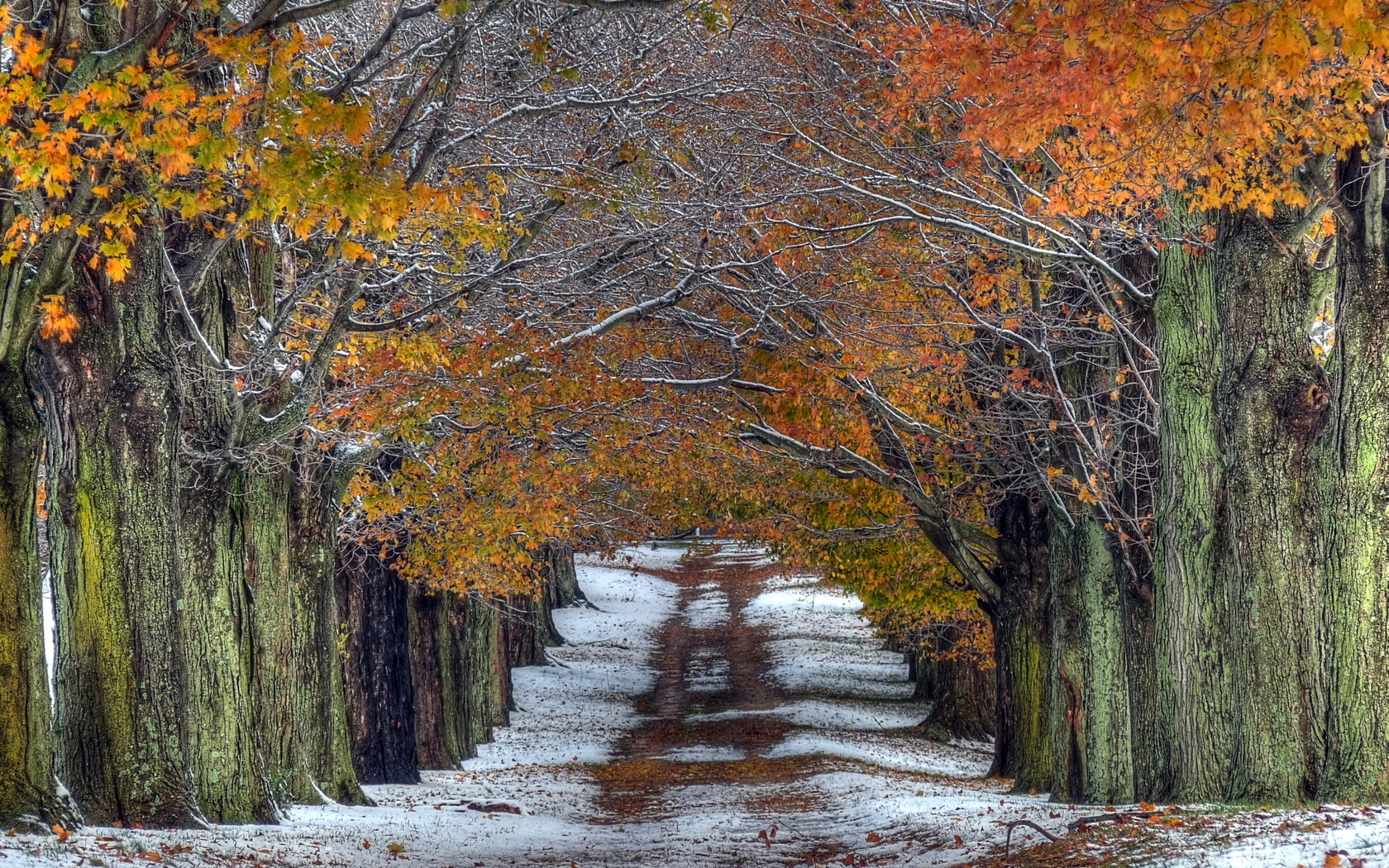 Snowy Morning Wallpapers - Wallpaper Cave