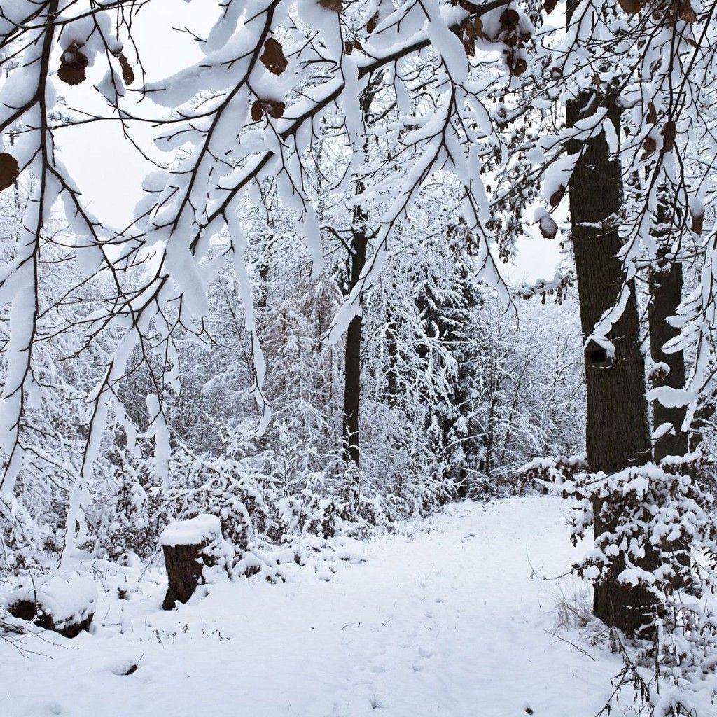 Snow Day Wallpapers - Wallpaper Cave