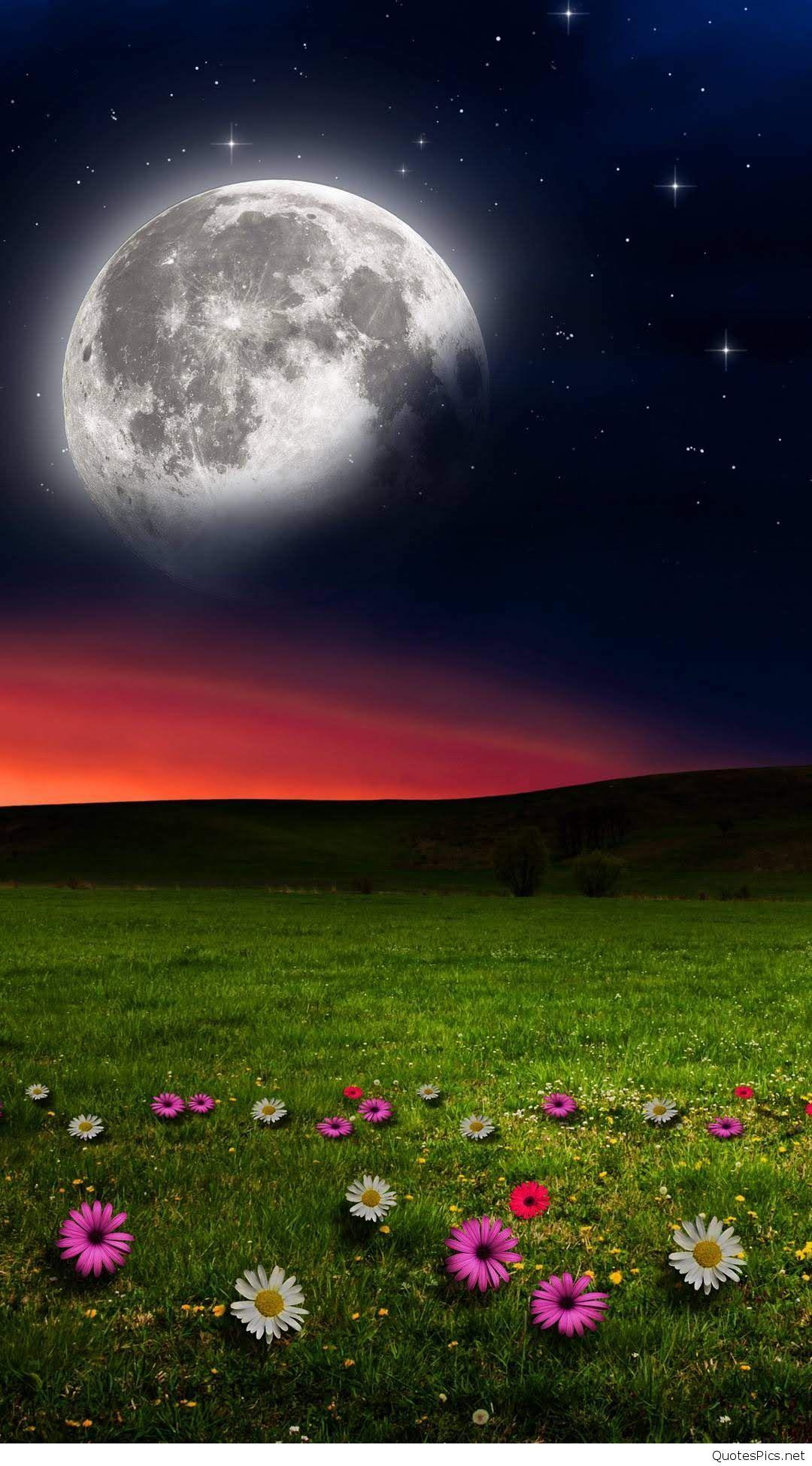 Mobile FHD Wallpapers - Wallpaper Cave