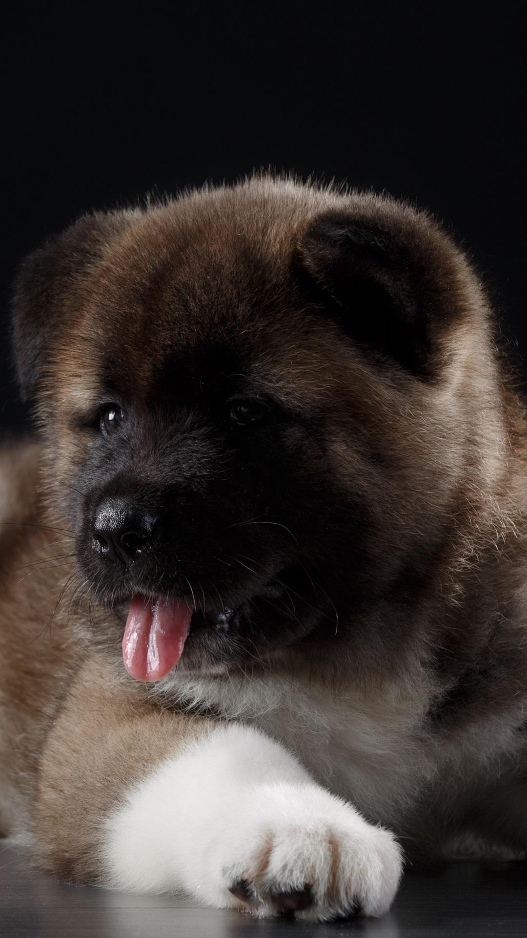 Cute Table Wallpapers - Wallpaper Cave