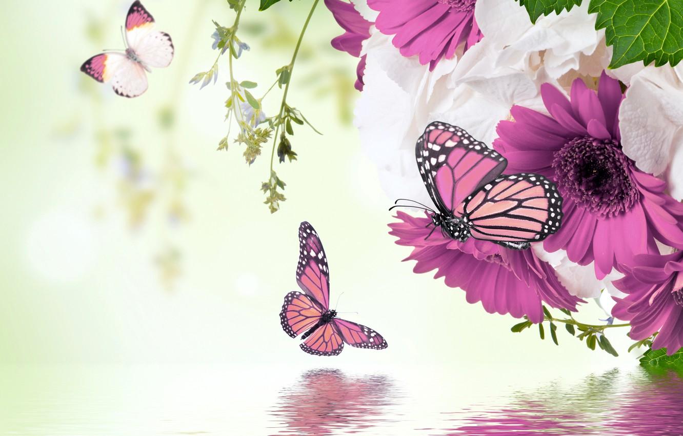 Butterfly Spring Blossom Wallpapers - Wallpaper Cave